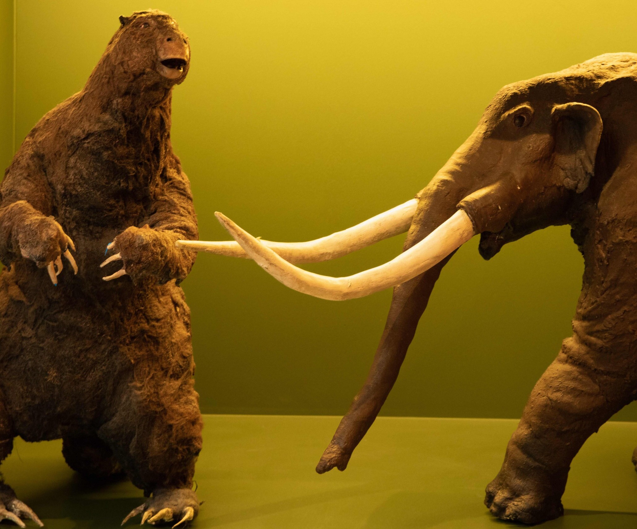 “Costurando a megafauna”: oficina ensina crianças a criar animais em ...