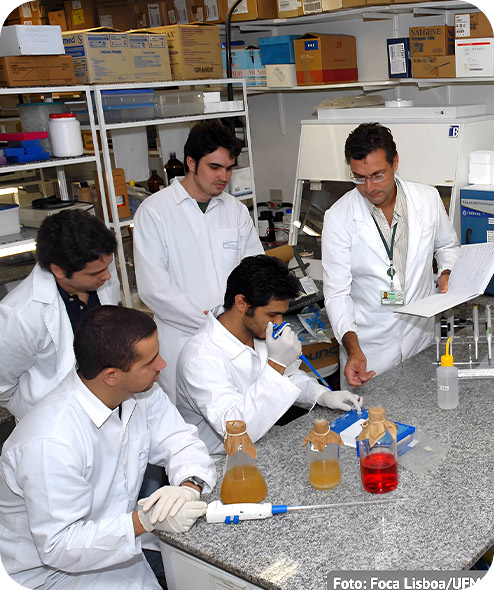 Sobre o Programa – Programa Outlab